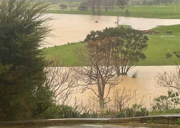 11 November weather warning: Heavy Rain **Final update 3pm** | Far ...