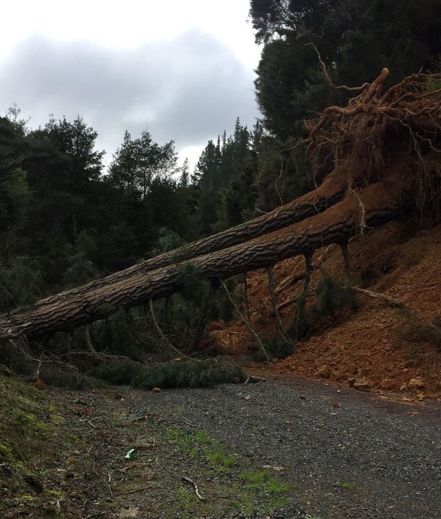 Severe weather – road closures ** update 4pm Tuesday 26 July 2022 ...