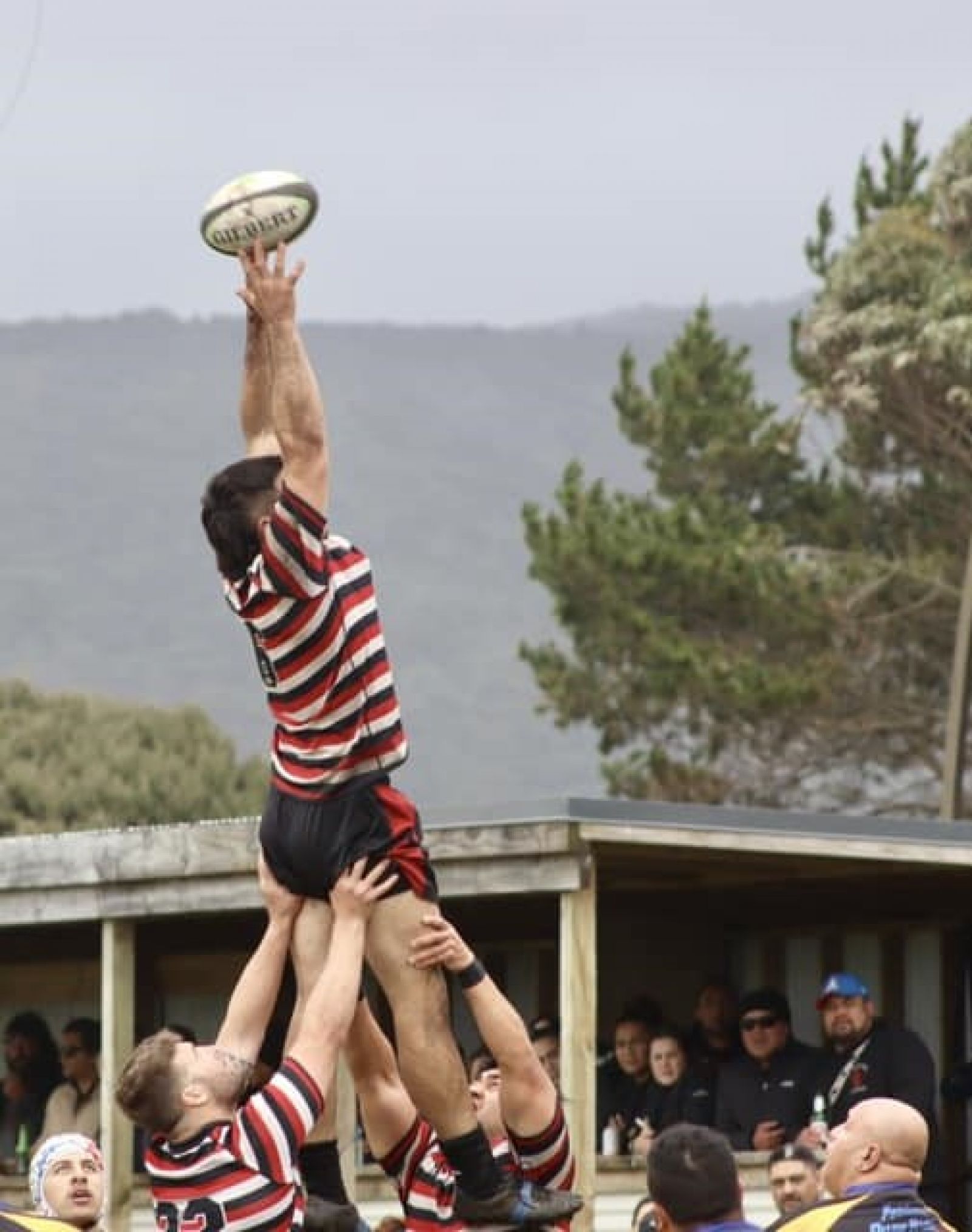 News stories | Far North District Council