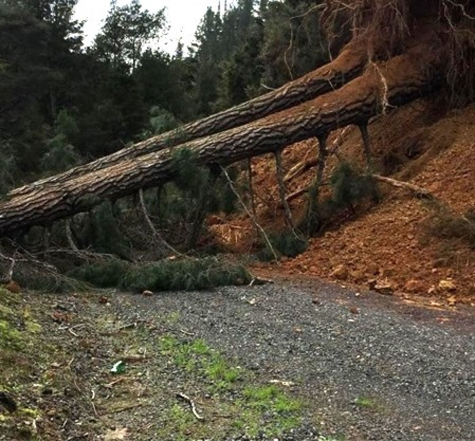 Severe weather road repairs | Far North District Council