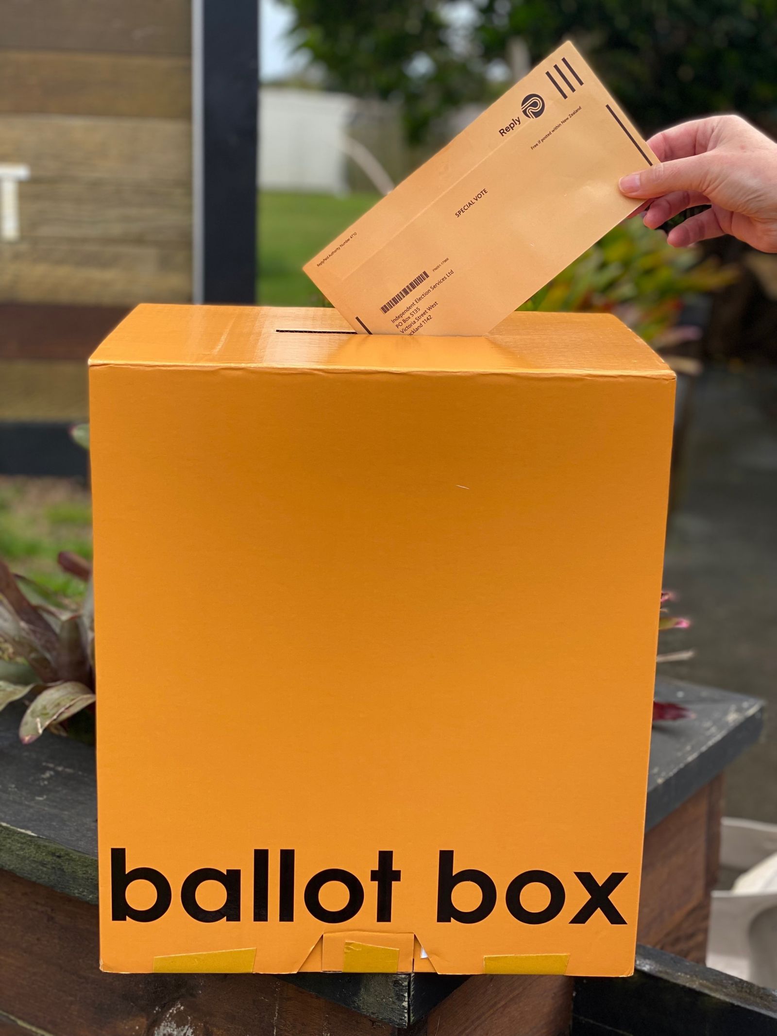 Local Elections 2022 | Far North District Council